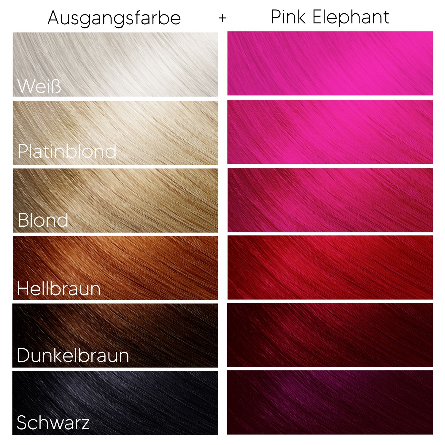 Headshot Pink Elephant | 1007